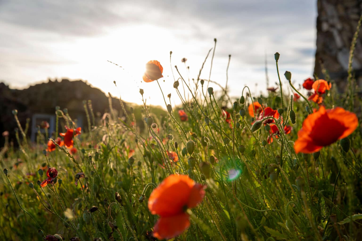 Weddings and Events - Visit Decatur Texas