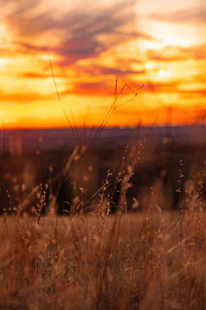 Spaces and Places - Visit Decatur Texas